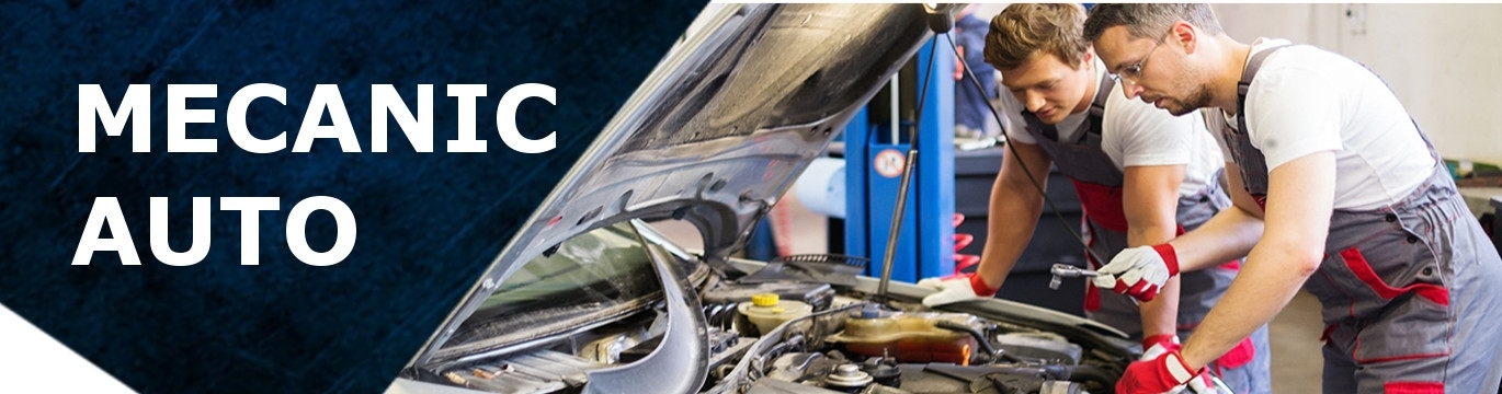 Certificare Mecanic Auto - Electrician Auto - Tinichigiu Vopsitor Auto ...